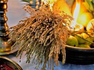 Thrissur Pooram Festival Tour Package